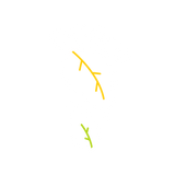 Aniron | UK's Leading Industrial Solar Specialists – Aniron-renewable